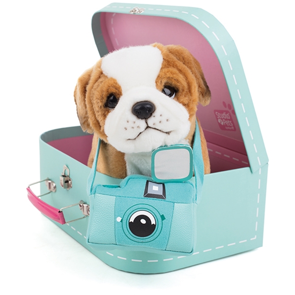 Studio Pets Plush Star 23 cm - Mykiser - Studio Pets | Shopping4net