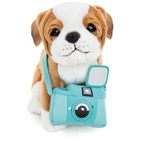 Studio Pets Plush Star 23 cm - Mykiser - Studio Pets | Shopping4net